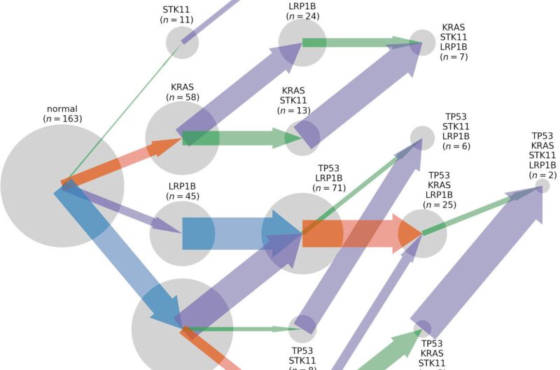 Phys.org on LinkedIn: Analyzing how cancer mutations interact may ... Phys.org on LinkedIn: Analyzing how cancer mutations interact may ...
