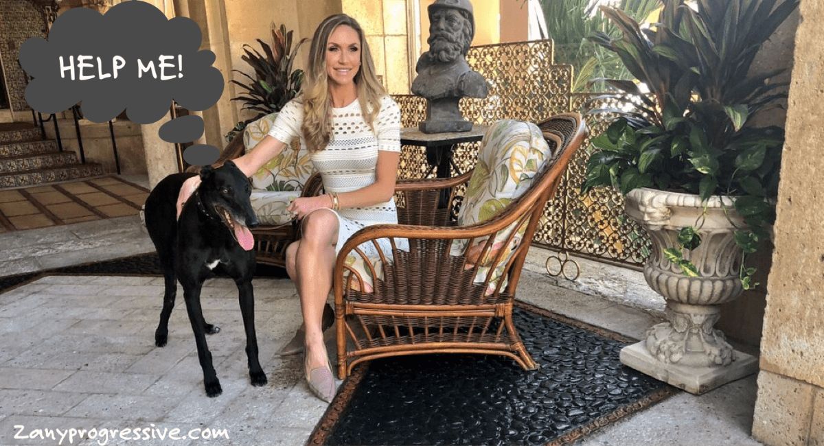 Zany Progressive ™ by Progressive Newz, LLC on LinkedIn: Lara Trump’s ... Zany Progressive ™ by Progressive Newz, LLC on LinkedIn: Lara Trump’s ...