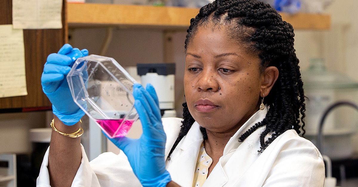 ECU Joins NCInnovation Partnership to Foster Innovation in NC | Shayan ... ECU Joins NCInnovation Partnership to Foster Innovation in NC | Shayan ...