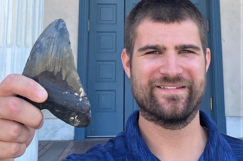 Phys.org on LinkedIn: A new study shows the Megalodon, a gigantic shark ... Phys.org on LinkedIn: A new study shows the Megalodon, a gigantic shark ...