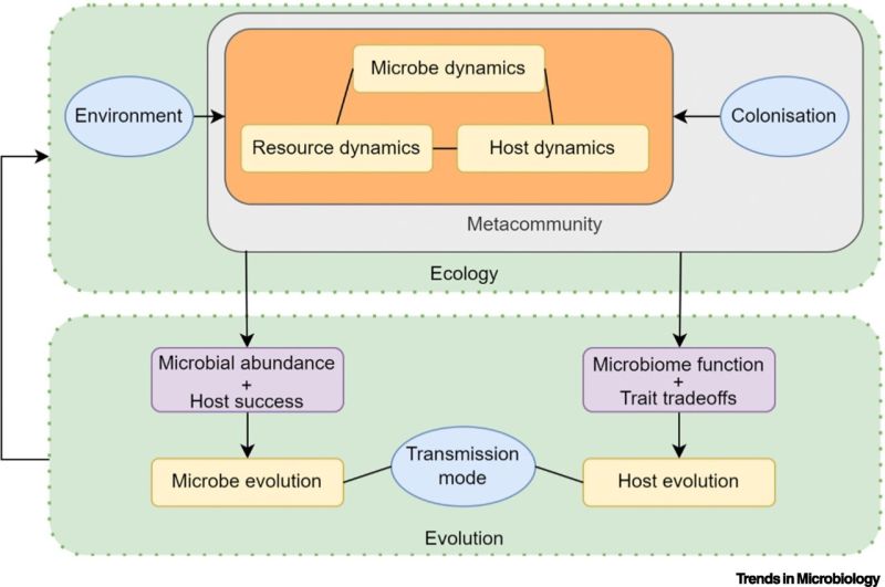 Phys.org on LinkedIn: Researchers propose mechanistic framework to ... Phys.org on LinkedIn: Researchers propose mechanistic framework to ...