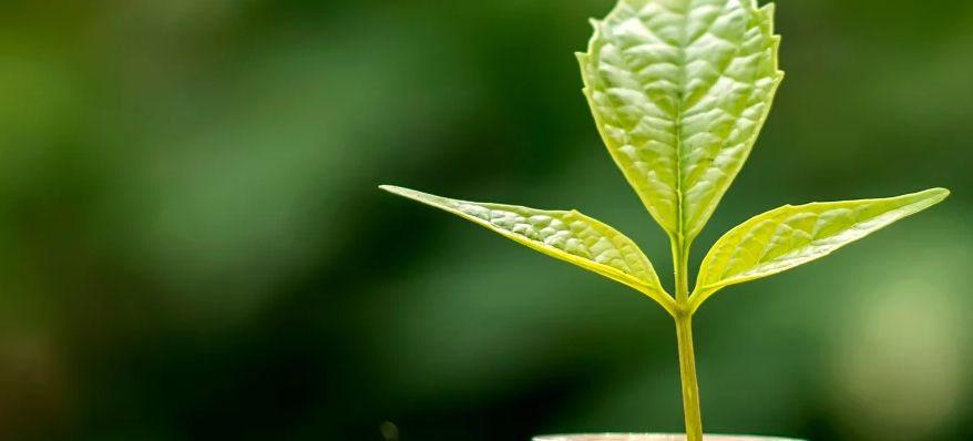 Laura Scandone บน LinkedIn: Optimizing Energy and Sustainability in ... Laura Scandone บน LinkedIn: Optimizing Energy and Sustainability in ...