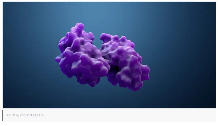 Firefinch Software on LinkedIn: ‘Protein Sandwich’ Could Transform ... Firefinch Software on LinkedIn: ‘Protein Sandwich’ Could Transform ...