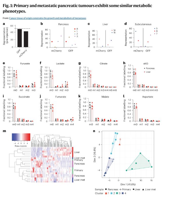 MIT Koch Institute for Integrative Cancer Research on LinkedIn: KI ... MIT Koch Institute for Integrative Cancer Research on LinkedIn: KI ...