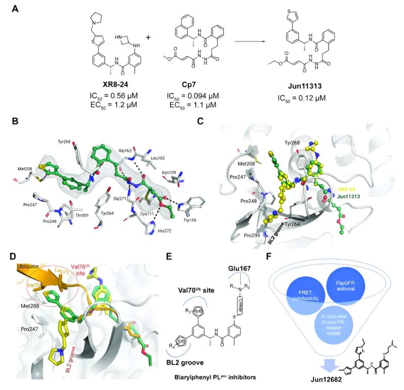 Phys.org on LinkedIn: Researchers race to develop Paxlovid replacement Phys.org on LinkedIn: Researchers race to develop Paxlovid replacement