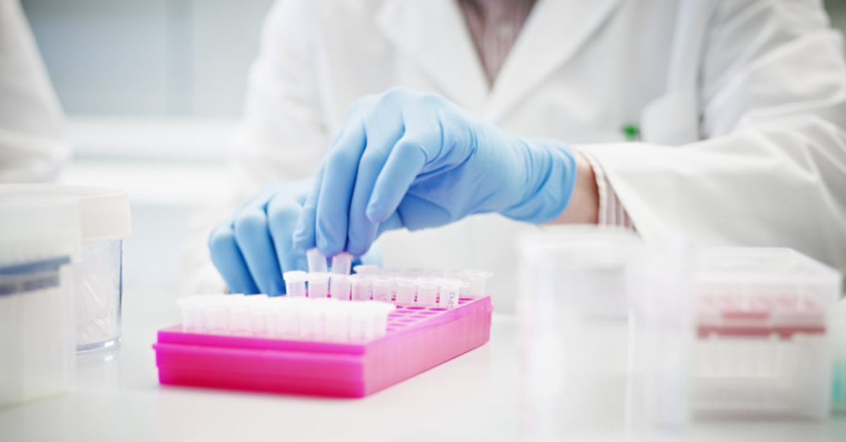 Soluble Immune-Checkpoint Molecules Assays | Christina Keavaney Soluble Immune-Checkpoint Molecules Assays | Christina Keavaney