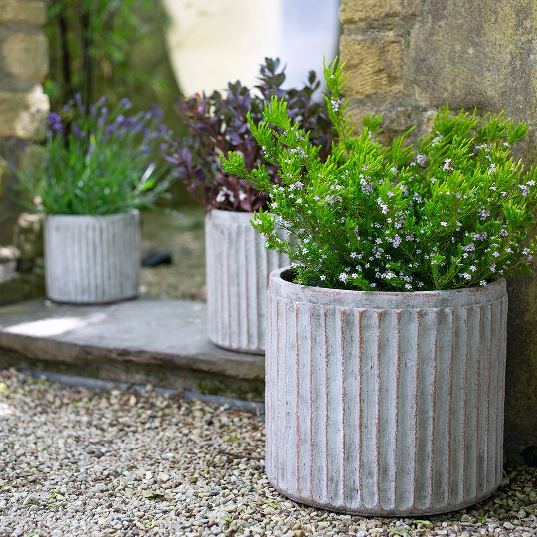 Apta Pottery on LinkedIn: Meet Athena: Trend-led for 2025! 🌿 Boost your ... Apta Pottery on LinkedIn: Meet Athena: Trend-led for 2025! 🌿 Boost your ...
