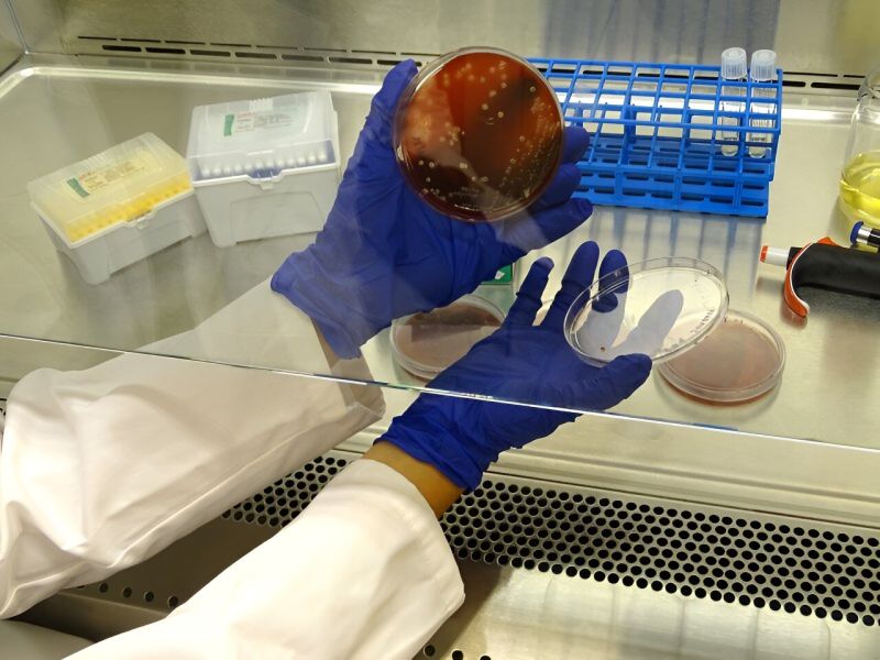 Phys.org on LinkedIn: Genome sequence analysis identifies new driver of ... Phys.org on LinkedIn: Genome sequence analysis identifies new driver of ...