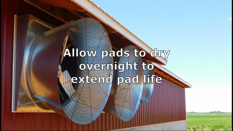 Alun Ceri Morris on LinkedIn: Preventing Heat Stress - Evaporative Cooling Alun Ceri Morris on LinkedIn: Preventing Heat Stress - Evaporative Cooling