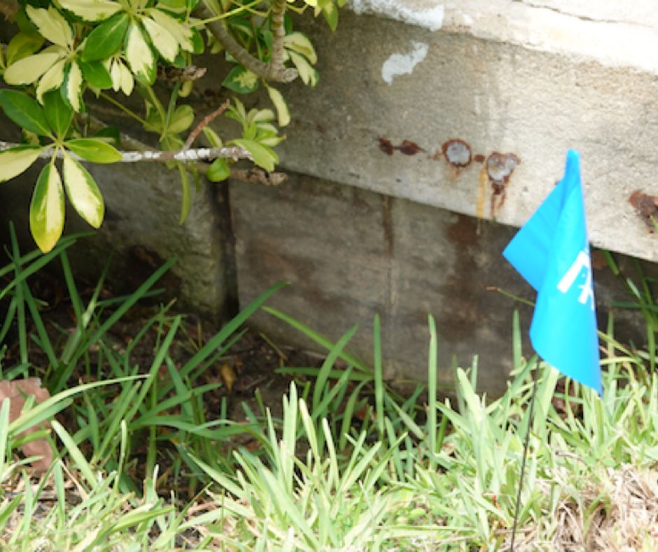 Seawall Savers of SWFL on LinkedIn: SIGNS OF SEAWALL FAILURE Many ... Seawall Savers of SWFL on LinkedIn: SIGNS OF SEAWALL FAILURE Many ...