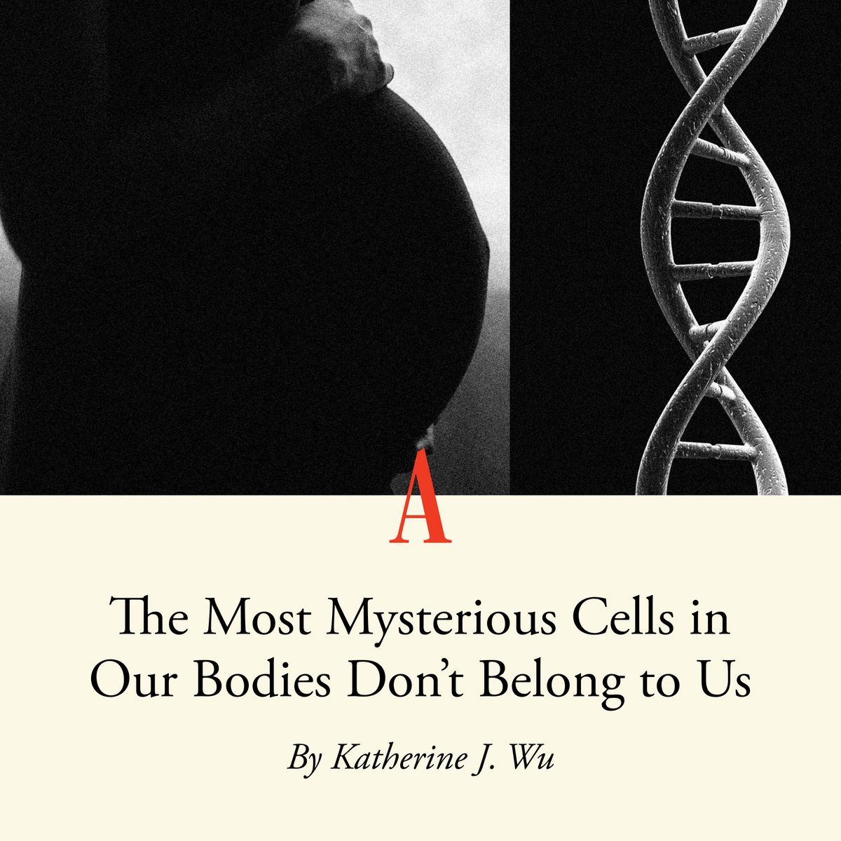 Dr. Mariel Buqué on LinkedIn: The bidirectional genetic influence of ... Dr. Mariel Buqué on LinkedIn: The bidirectional genetic influence of ...