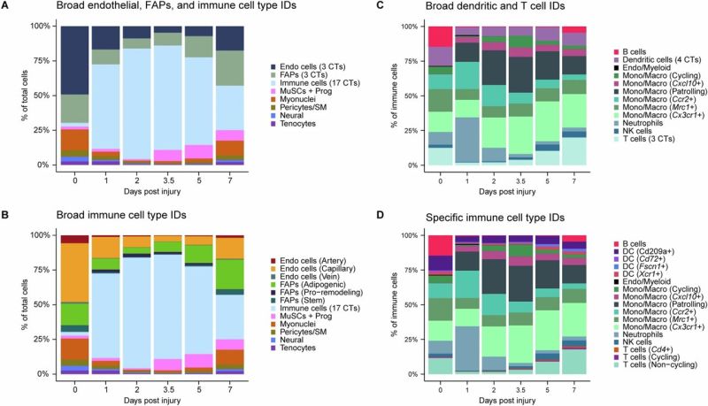 Medical Xpress on LinkedIn: Mouse study captures aging process at the ... Medical Xpress on LinkedIn: Mouse study captures aging process at the ...