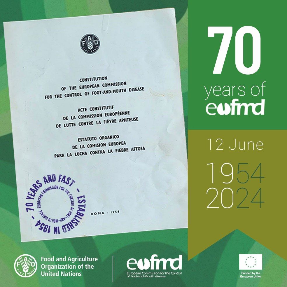 EuFMD on LinkedIn: #70andfast #fmd #fmd EuFMD on LinkedIn: #70andfast #fmd #fmd