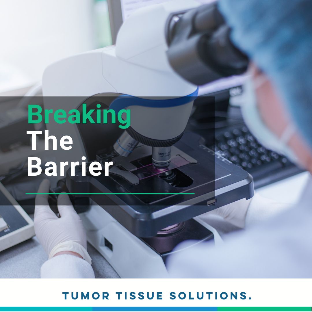 Michel Sadaka on LinkedIn: #tumortissue #cellsamples Michel Sadaka on LinkedIn: #tumortissue #cellsamples
