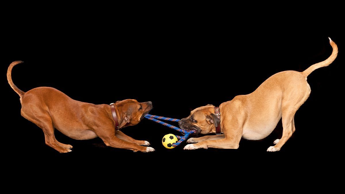 Andres Waldraff on LinkedIn: When Resentment Is Building on Your Team Andres Waldraff on LinkedIn: When Resentment Is Building on Your Team