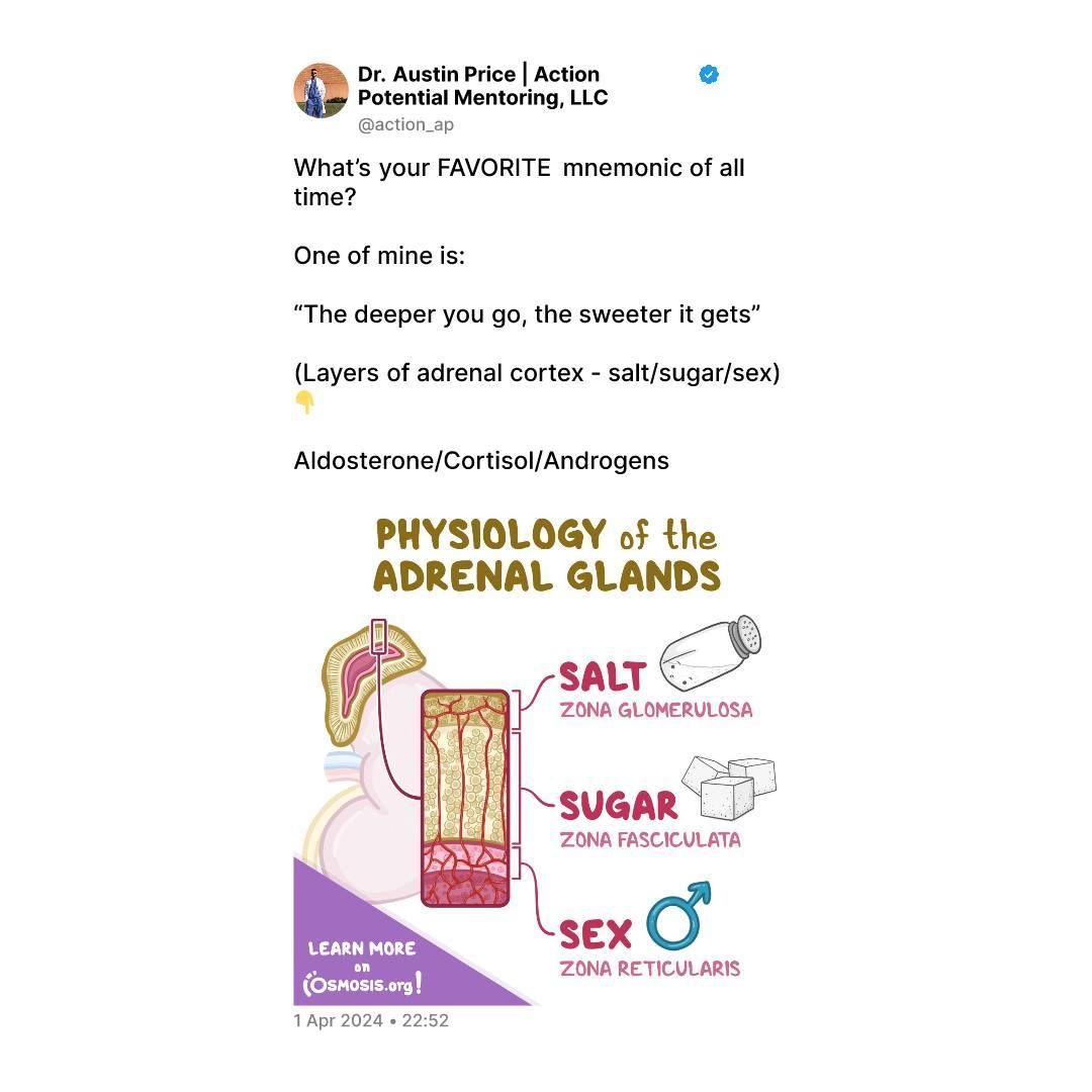 Austin Price, D.O. on LinkedIn: Action Potential Mentoring LLC on ... Austin Price, D.O. on LinkedIn: Action Potential Mentoring LLC on ...