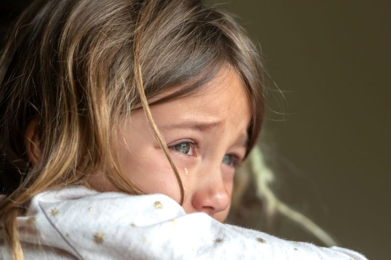 Creating Trauma-Informed Classrooms - +ProActive Approaches ... Creating Trauma-Informed Classrooms - +ProActive Approaches ...