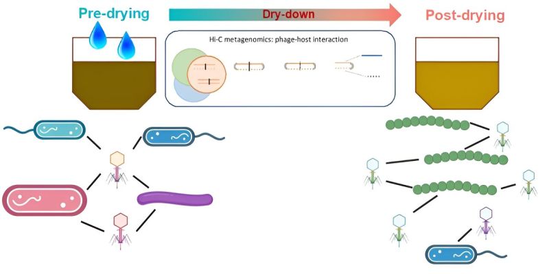 Phys.org on LinkedIn: Researchers directly detect interactions between ... Phys.org on LinkedIn: Researchers directly detect interactions between ...