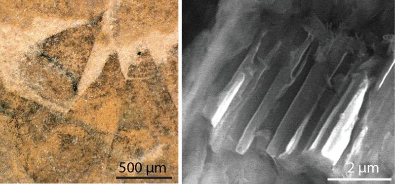 Phys.org on LinkedIn: Researchers uncover 500 million-year-old mollusk ... Phys.org on LinkedIn: Researchers uncover 500 million-year-old mollusk ...