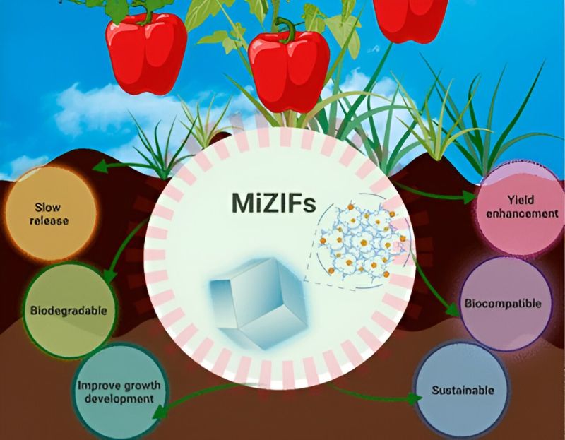 Phys.org on LinkedIn: Researchers formulate controlled delivery of ... Phys.org on LinkedIn: Researchers formulate controlled delivery of ...
