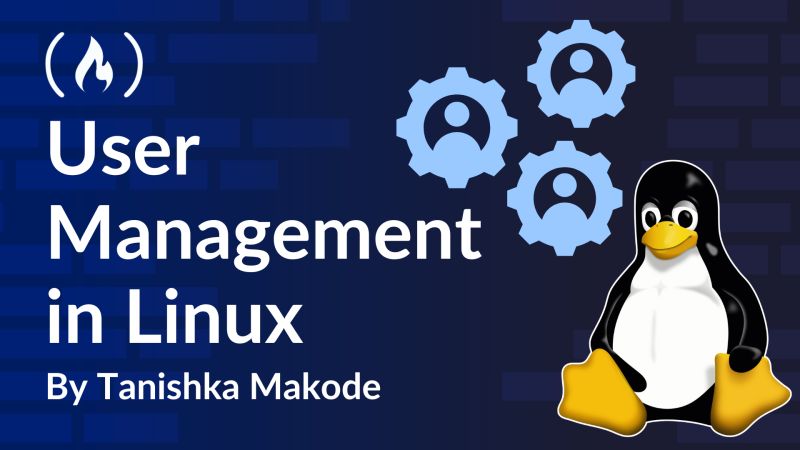 CodingCat.dev on LinkedIn: Learn User Management in RHEL: A ... CodingCat.dev on LinkedIn: Learn User Management in RHEL: A ...