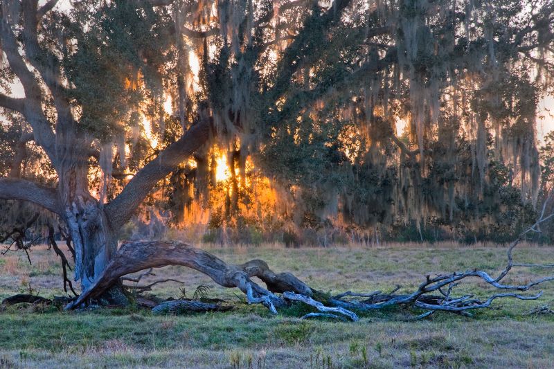 Keith Fountain on LinkedIn: Rural and Family Lands Protection Program Keith Fountain on LinkedIn: Rural and Family Lands Protection Program