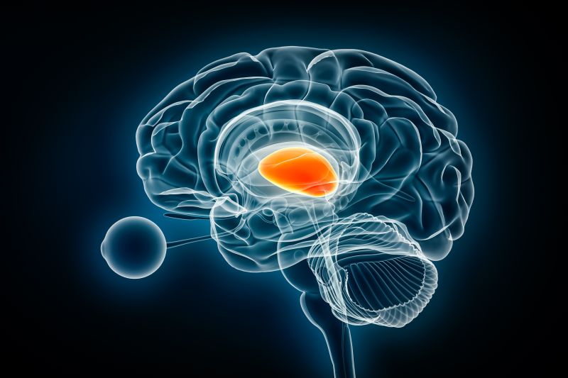 Virginia Society of Anesthesiologists on LinkedIn: Study assesses ... Virginia Society of Anesthesiologists on LinkedIn: Study assesses ...