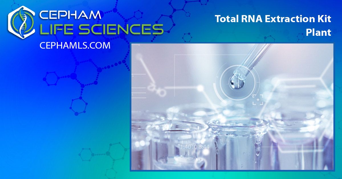 Cepham Life Sciences, Inc. on LinkedIn: #cephamls #microbiology # ... Cepham Life Sciences, Inc. on LinkedIn: #cephamls #microbiology # ...