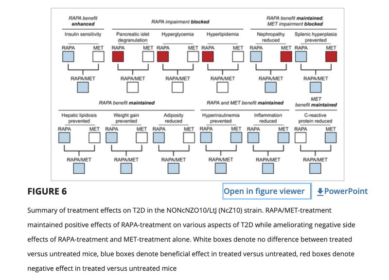 Robert Lufkin MD on LinkedIn: Metformin + rapamycin? Study in diabetes ... Robert Lufkin MD on LinkedIn: Metformin + rapamycin? Study in diabetes ...