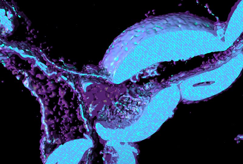 A leaf tissue image with array tomography | Oxford Instruments ... A leaf tissue image with array tomography | Oxford Instruments ...