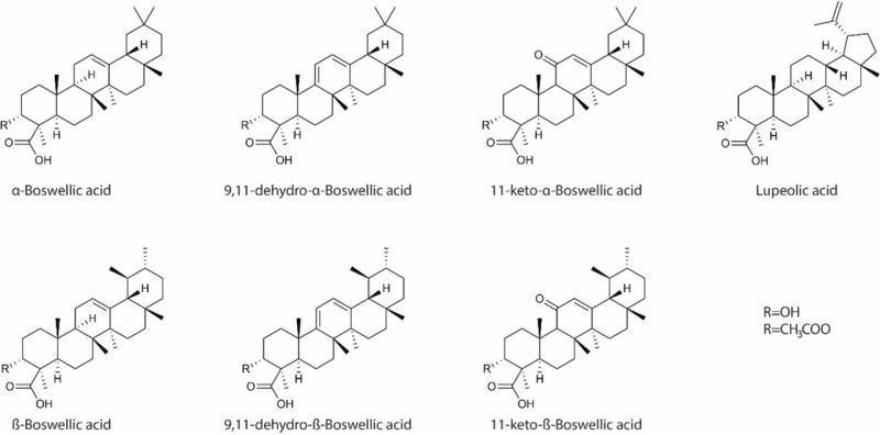 Phys.org on LinkedIn: Researchers find Boswellia, an extract of ... Phys.org on LinkedIn: Researchers find Boswellia, an extract of ...