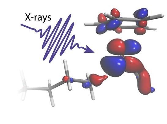 Phys.org on LinkedIn: X-rays visualize how one of nature's strongest ... Phys.org on LinkedIn: X-rays visualize how one of nature's strongest ...