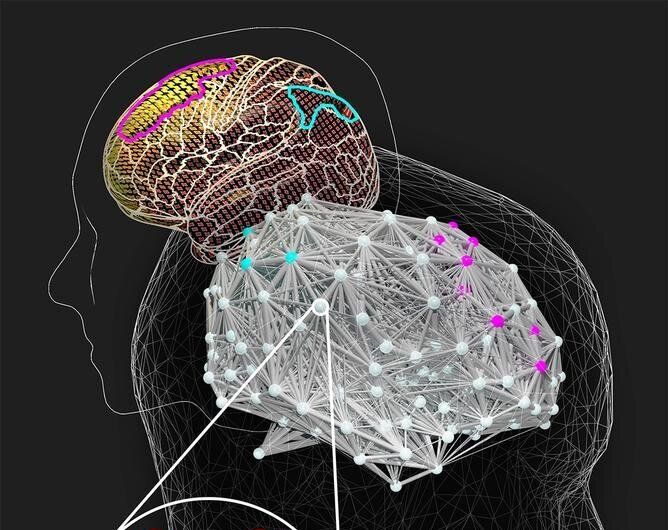 Maurizio Dikdan Pietrosemoli on LinkedIn: Intelligent brains take ... Maurizio Dikdan Pietrosemoli on LinkedIn: Intelligent brains take ...