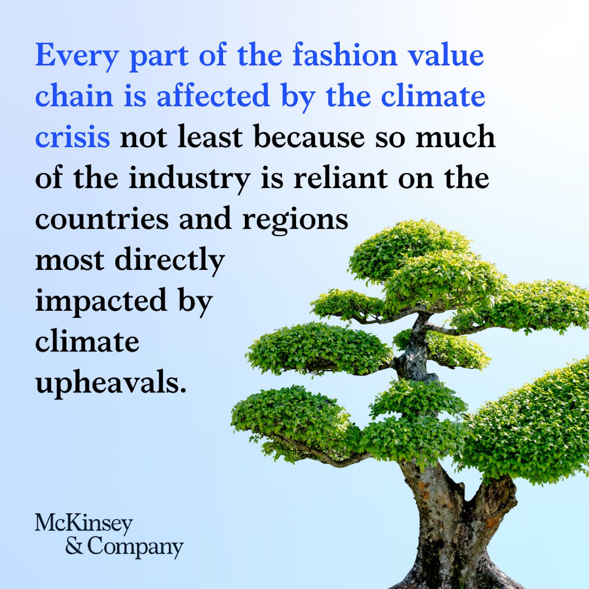 The State of Fashion 2024: Finding pockets of growth as uncertainty ... The State of Fashion 2024: Finding pockets of growth as uncertainty ...