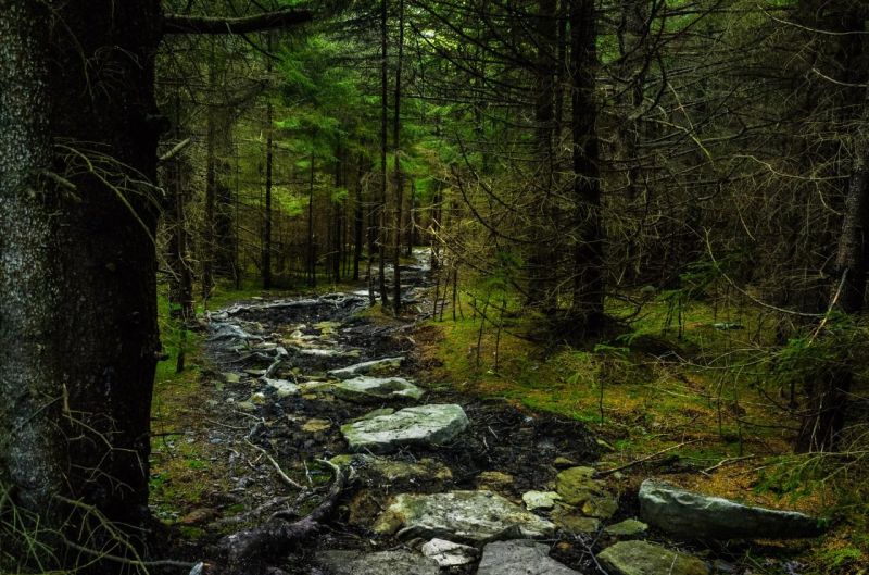 Dave Lavender on LinkedIn: #almostheaven #escapetowv #exploremore # ... Dave Lavender on LinkedIn: #almostheaven #escapetowv #exploremore # ...