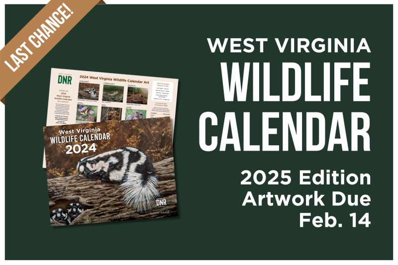 Dave Lavender on LinkedIn: #yeswv #almostheaven Dave Lavender on LinkedIn: #yeswv #almostheaven