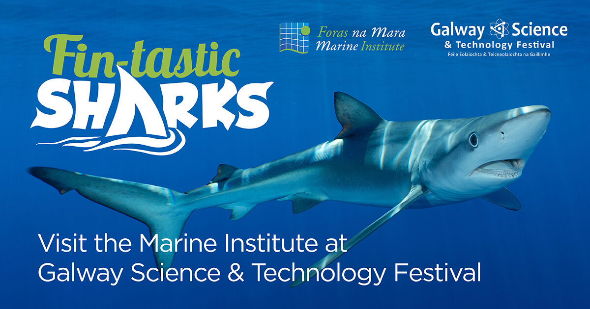 Marine Institute on LinkedIn: Weekend plans sorted! ️ Join us for the ... Marine Institute on LinkedIn: Weekend plans sorted! ️ Join us for the ...