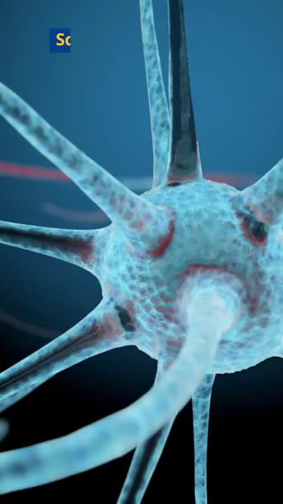 HealthDay News on LinkedIn: Scientists Produce First 3D-Printed Brain ... HealthDay News on LinkedIn: Scientists Produce First 3D-Printed Brain ...