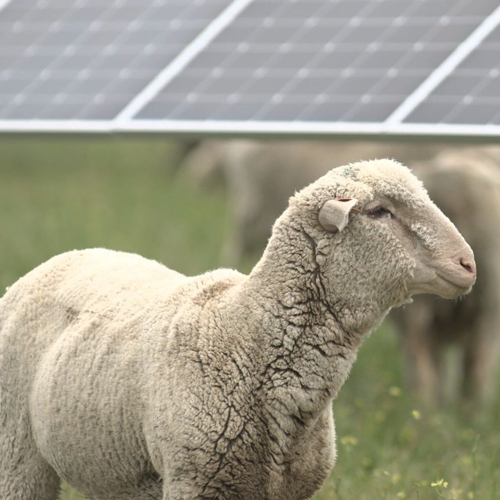Avangrid on LinkedIn: #solar #climateweeknyc #renewableenergy Avangrid on LinkedIn: #solar #climateweeknyc #renewableenergy