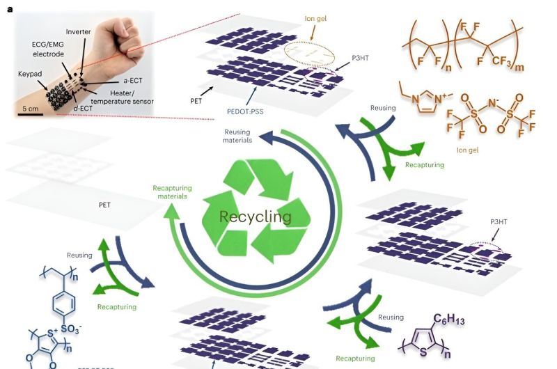 Tech Xplore on LinkedIn: Closed-loop recycling of organic flexible ... Tech Xplore on LinkedIn: Closed-loop recycling of organic flexible ...