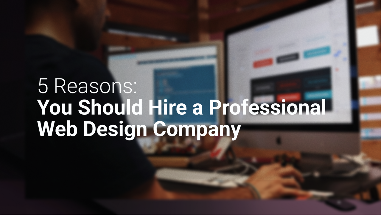 5 Reasons: You Should Hire a Professional Web Design Company 5 Reasons: You Should Hire a Professional Web Design Company