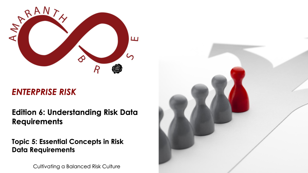 Navigating Essential Concepts in Risk Data Requirements | Amaranth Brose Navigating Essential Concepts in Risk Data Requirements | Amaranth Brose