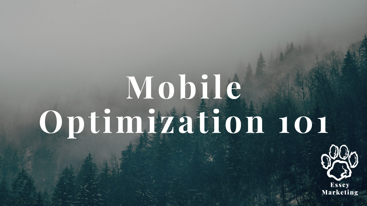 Mobile Optimization 101 Mobile Optimization 101