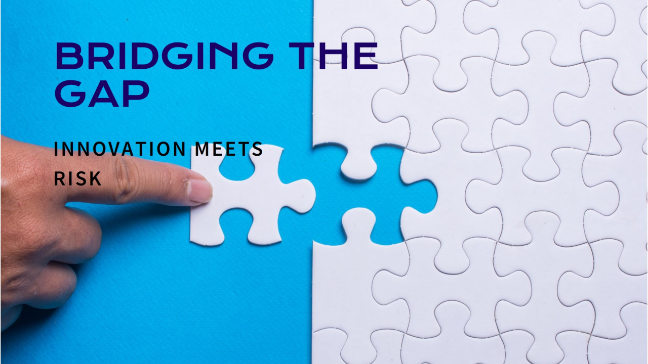 Bridging the Gap Between Innovation and Risk Bridging the Gap Between Innovation and Risk