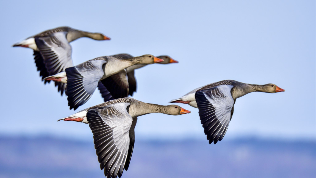 Migrating from Proprietary Databases to PostgreSQL: Key Steps and ... Migrating from Proprietary Databases to PostgreSQL: Key Steps and ...