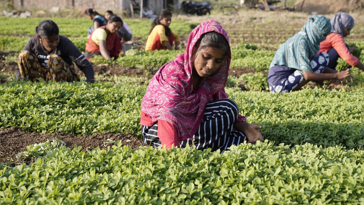 Exploring ESG Integration in the Agricultural Supply Chain Exploring ESG Integration in the Agricultural Supply Chain