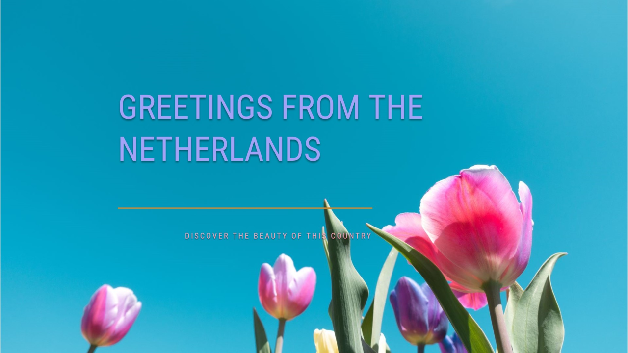 Netherlands Netherlands