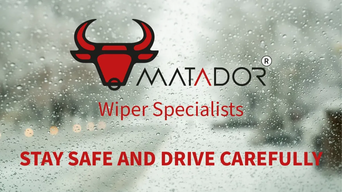 Stay Safe and Drive Carefully Stay Safe and Drive Carefully