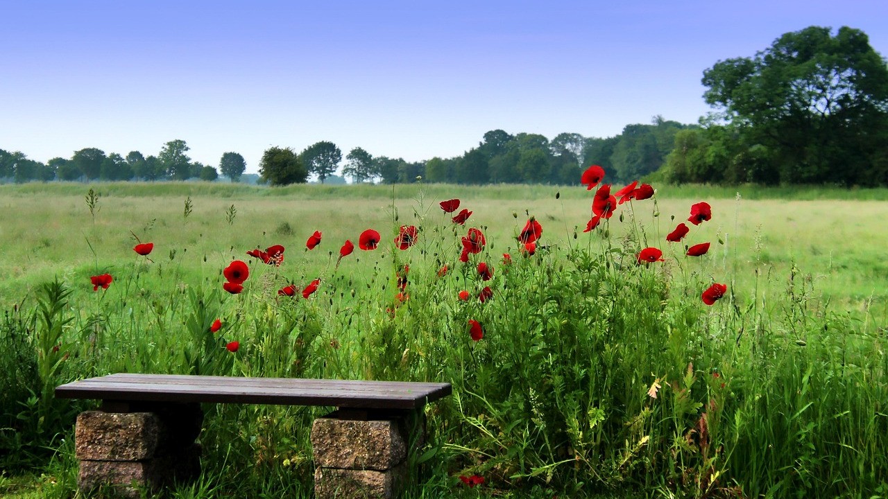 Rest isn't a reward, it is part of the process Rest isn't a reward, it is part of the process
