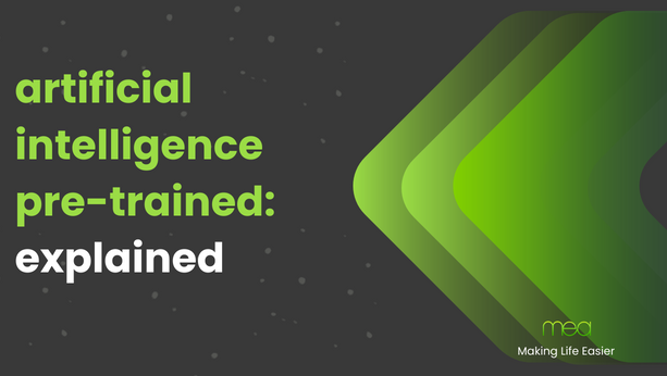 AI- Pre-Trained : Explained AI- Pre-Trained : Explained